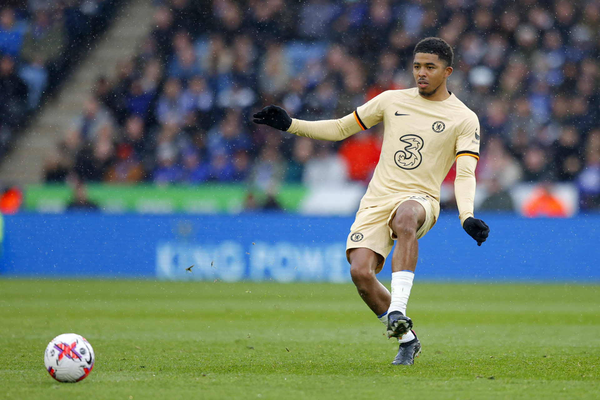 Chelsea Squad - The Chelsea Chronicle