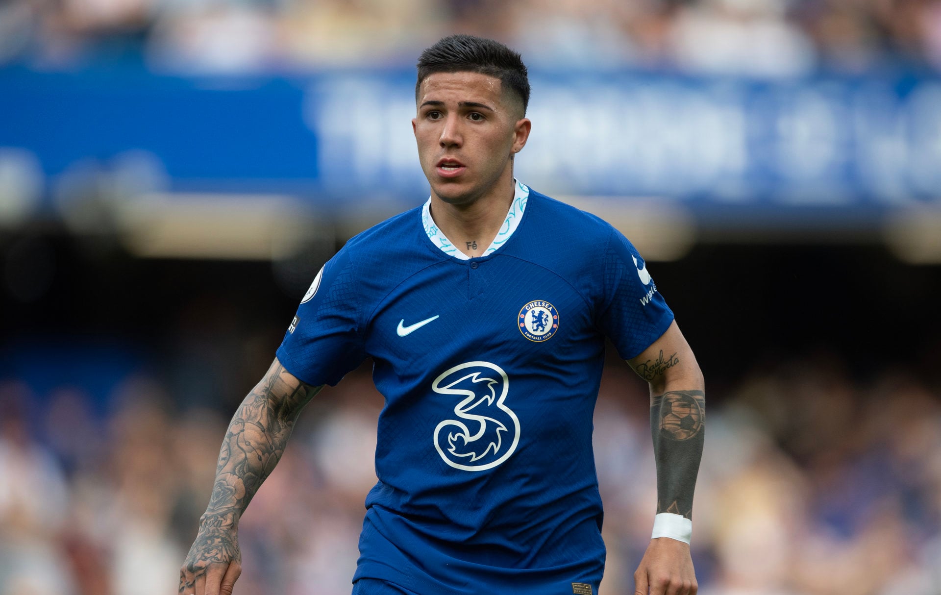 'I really hope': Enzo Fernandez admits he wants Chelsea to sign ...