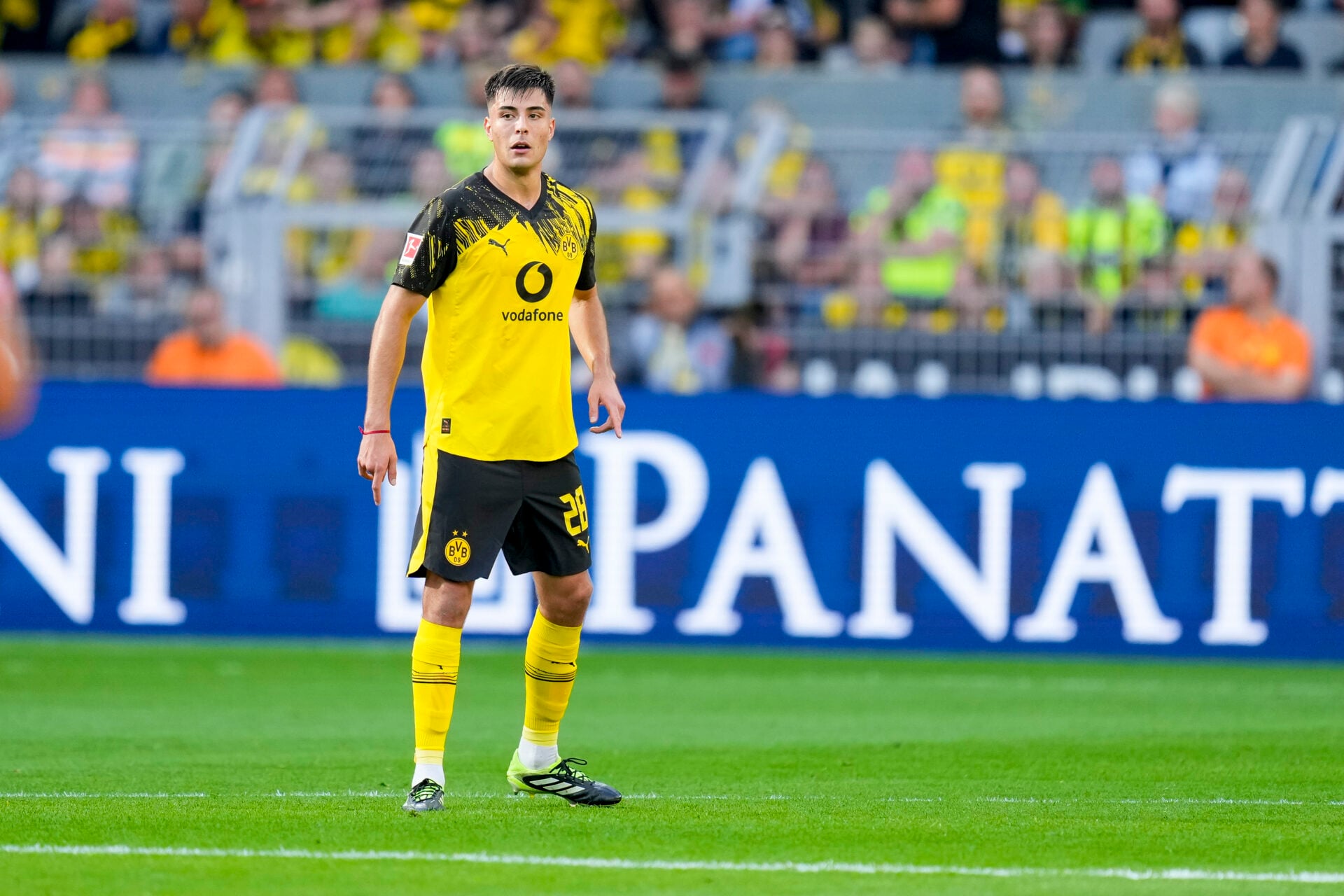 What Chelsea now plan to do with recalled Aaron Anselmino ahead of ...